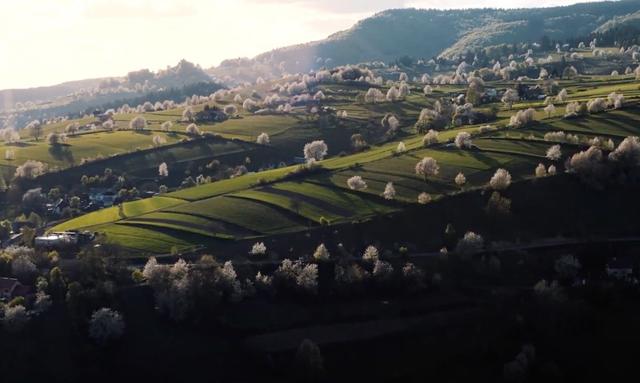 Video Of The Week - Spring in Slovakia - Hriňovské Lazy
